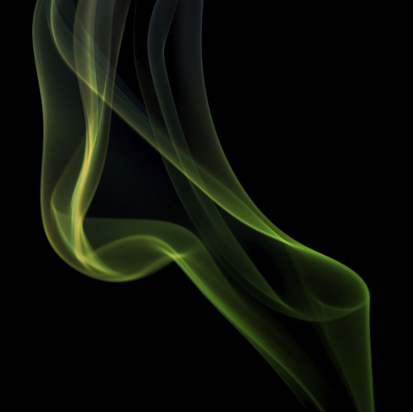 GREENSMOKE.FINAL – Author Bryna Butler